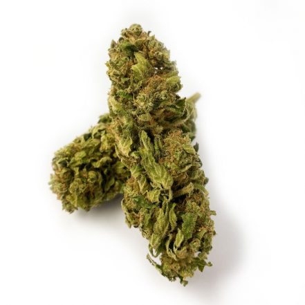 Orange Bud CBD Blüten in Bio-Qualität kaufen | CBDdiscounter