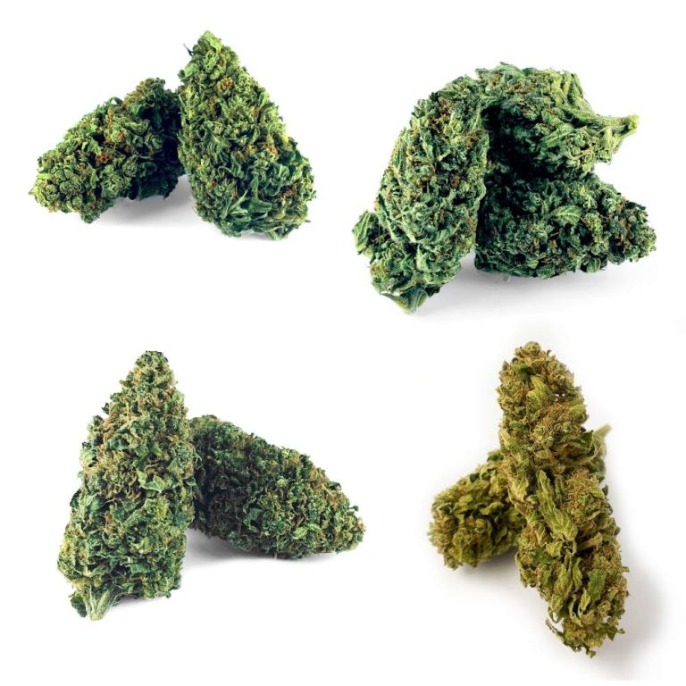 CBD Blüten günstig & in Bio-Qualität kaufen | CBDdiscounter.de